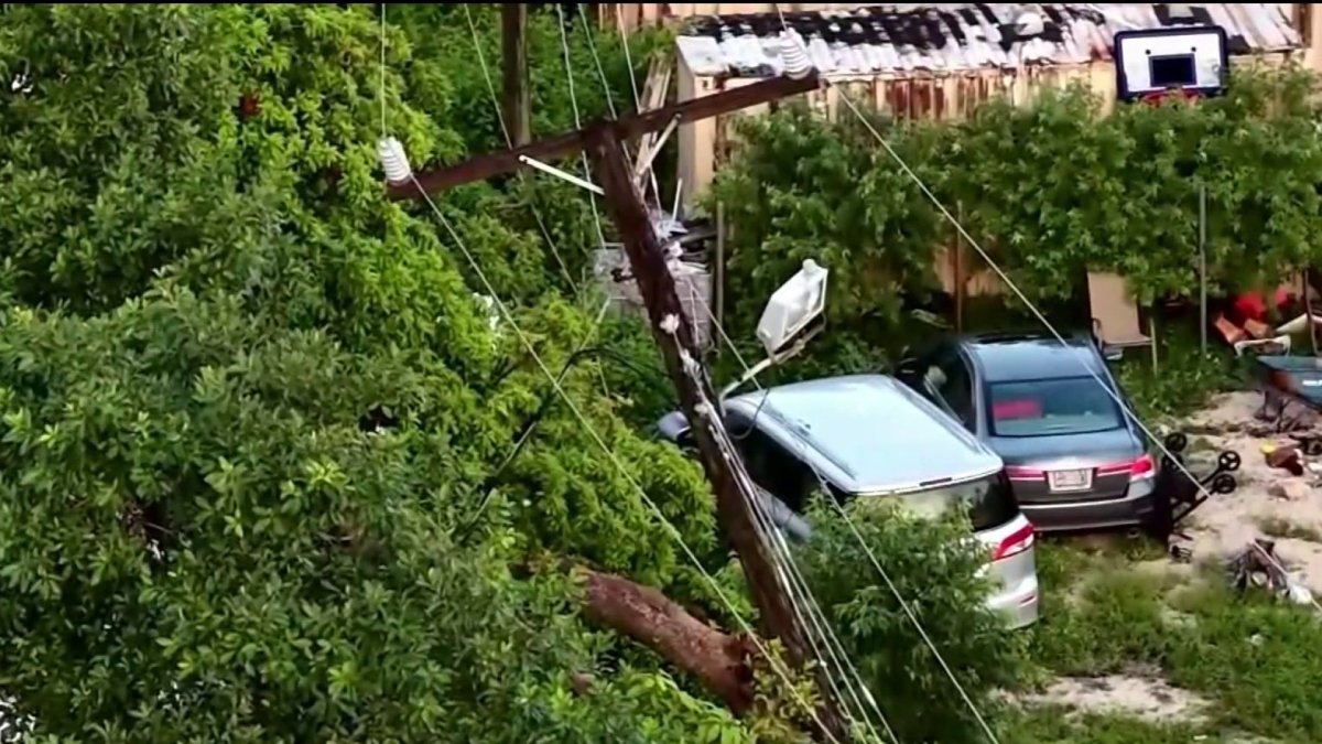 Tree falls onto Hollywood home after possible lightning strike – NBC 6 ...