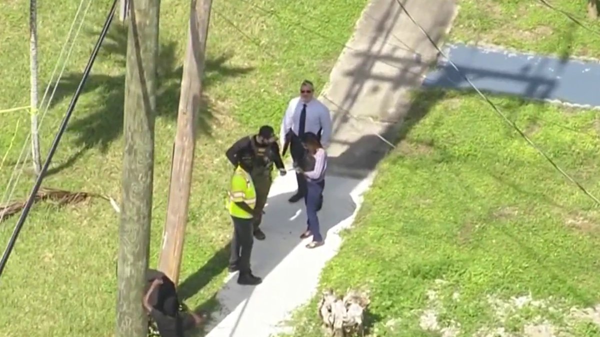 Dog shot after trying to attack deputy in Lauderdale Lakes – NBC 6 ...