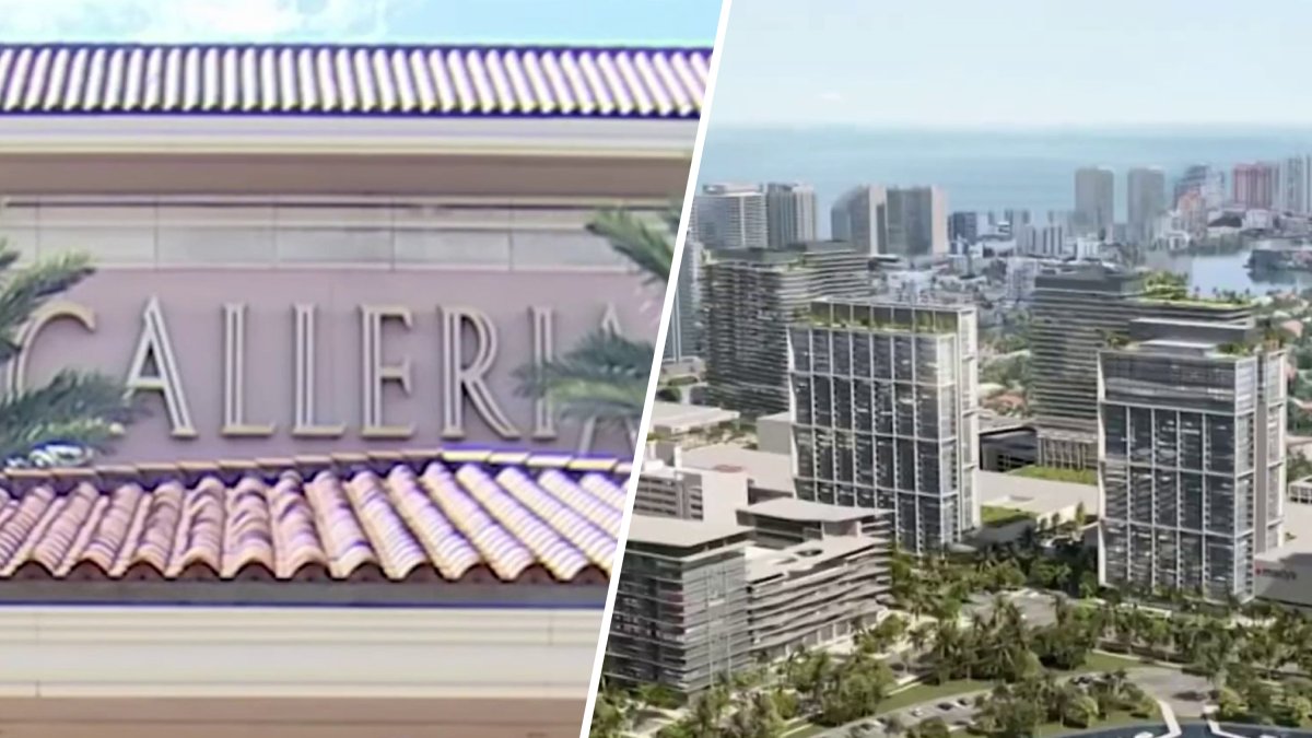 Redevelopment proposal plans to replace Galleria Mall with nine 30 ...