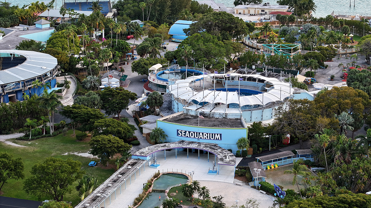 Developer set to take over Miami Seaquarium outlines new plans for park ...