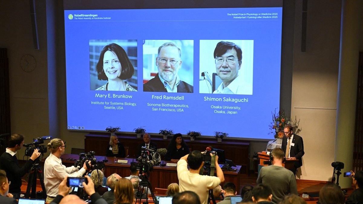 Brunkow, Ramsdell and Sakaguchi win 2025 Nobel Prize in medicine – NBC ...