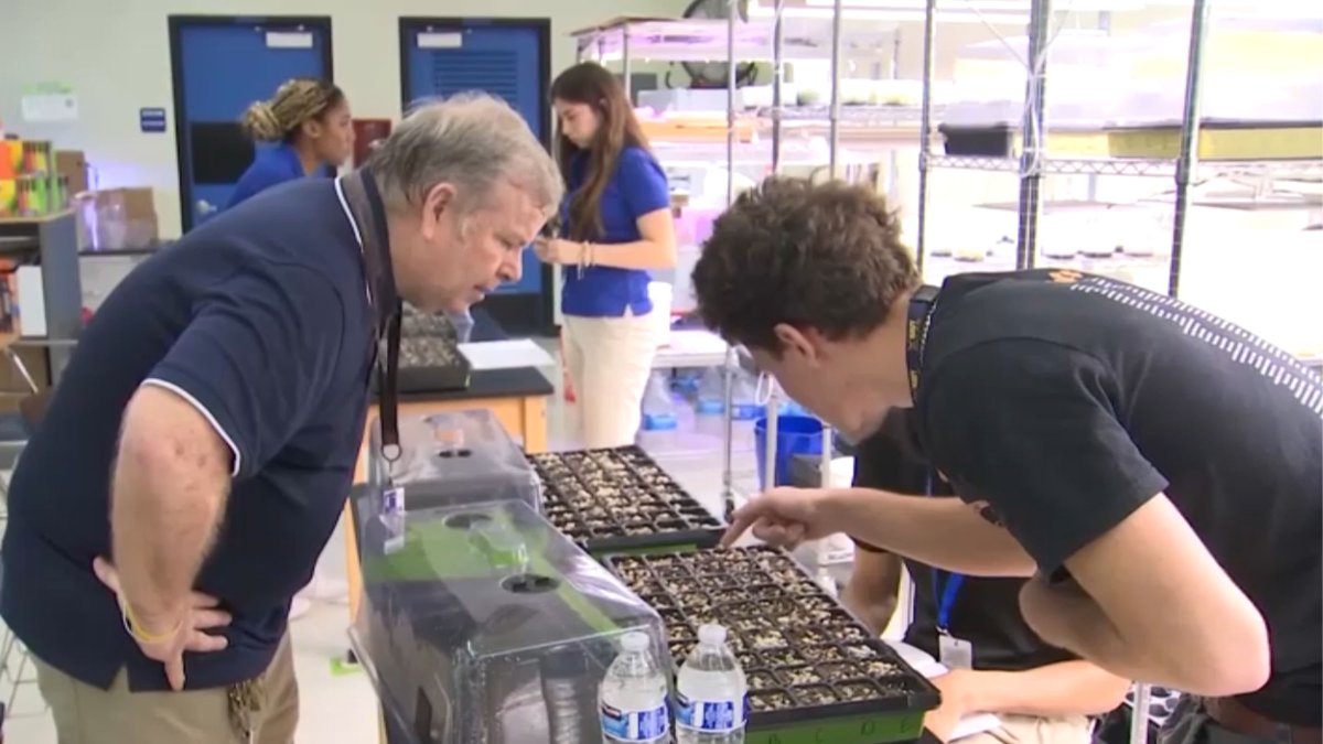How to apply to Miami-Dade Schools’ magnet and voluntary pre ...