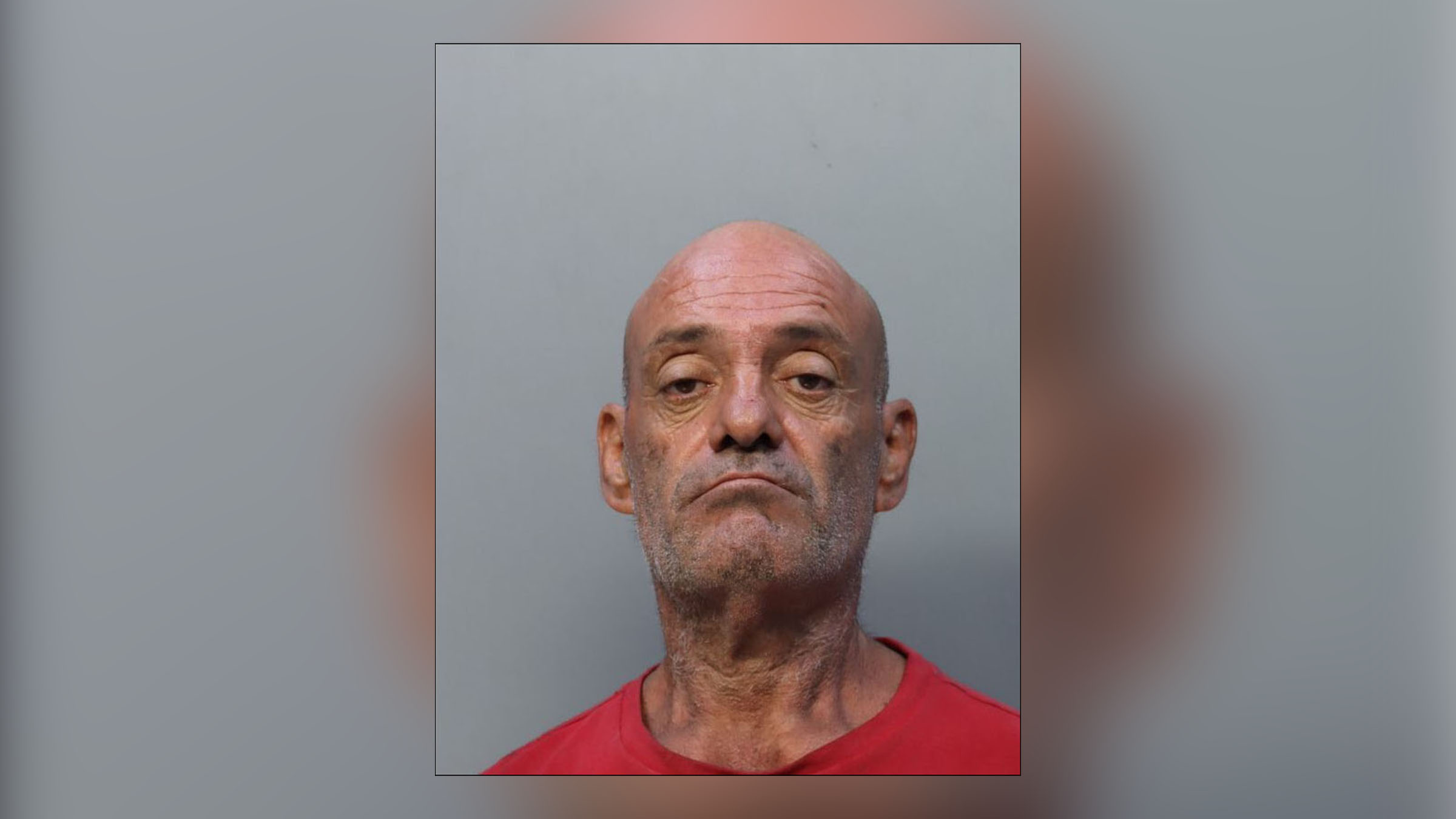 Man caught on camera allegedly stealing pigeons from Hialeah home ...
