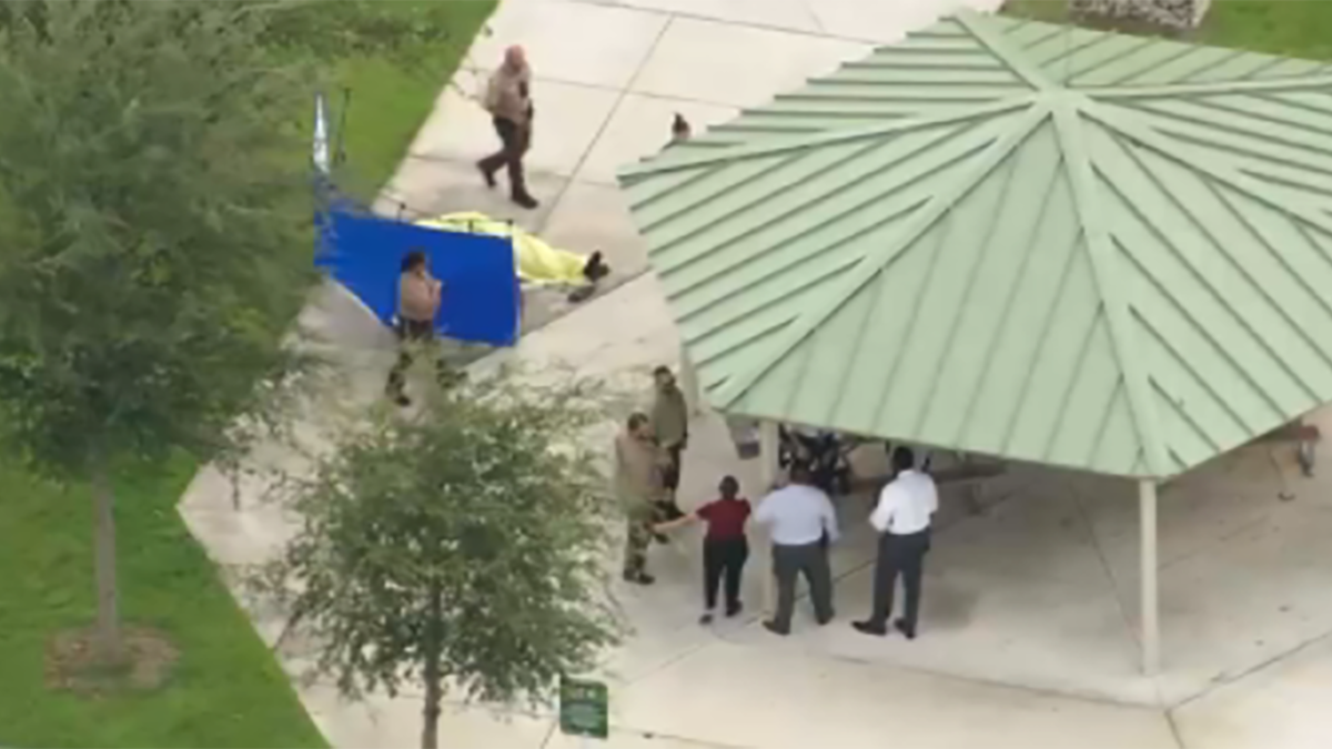 Man dead, another in custody after stabbing at NW Miami-Dade park – NBC ...