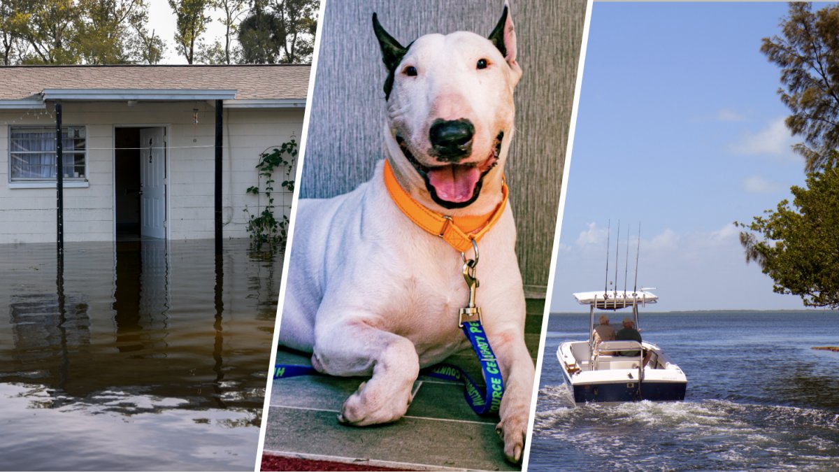 New laws in Florida on Oct. 1 – NBC 6 South Florida