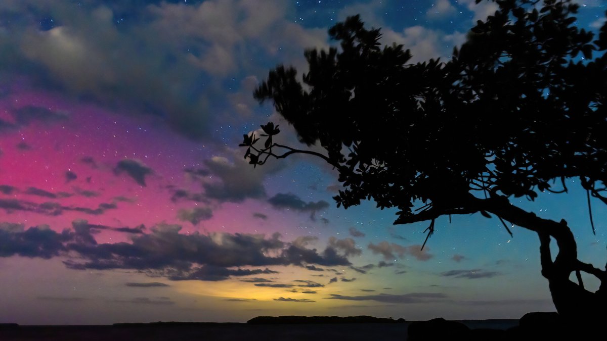Northern Lights captivates viewers in Florida: See the dazzling images ...