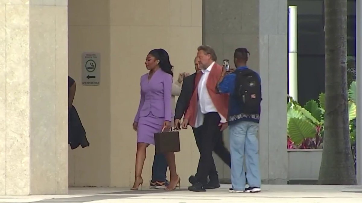 Megan Thee Stallion testifies against blogger, alleges online ...