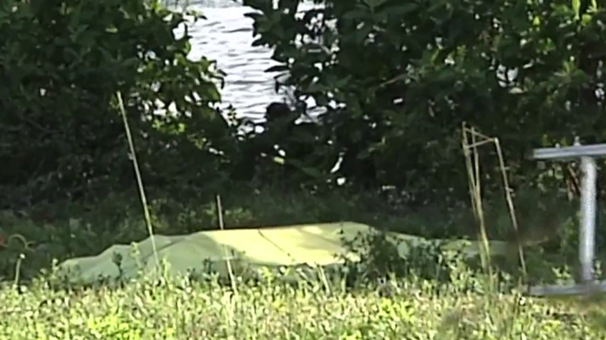 Body recovered from canal in Miami Lakes – NBC 6 South Florida
