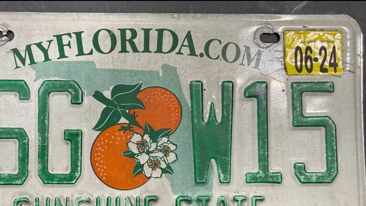 Florida clarifies license plate law – NBC 6 South Florida