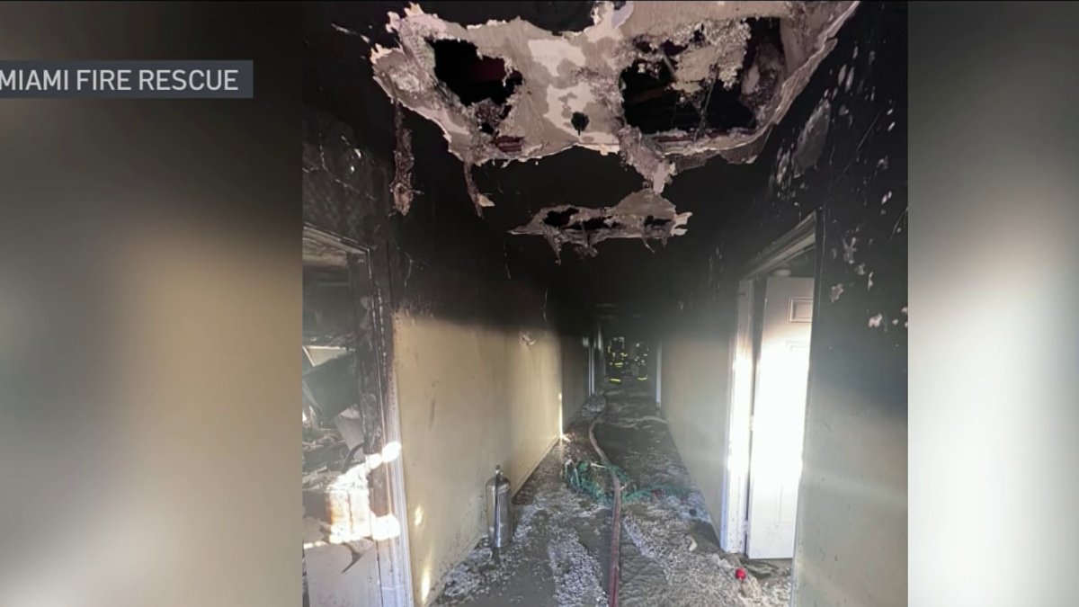 Child among 12 people impacted, along with cat, in Overtown fire ...