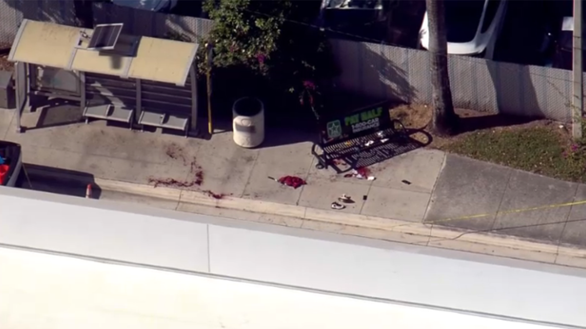 Woman facing charges after shooting man at Fort Lauderdale bus bench ...