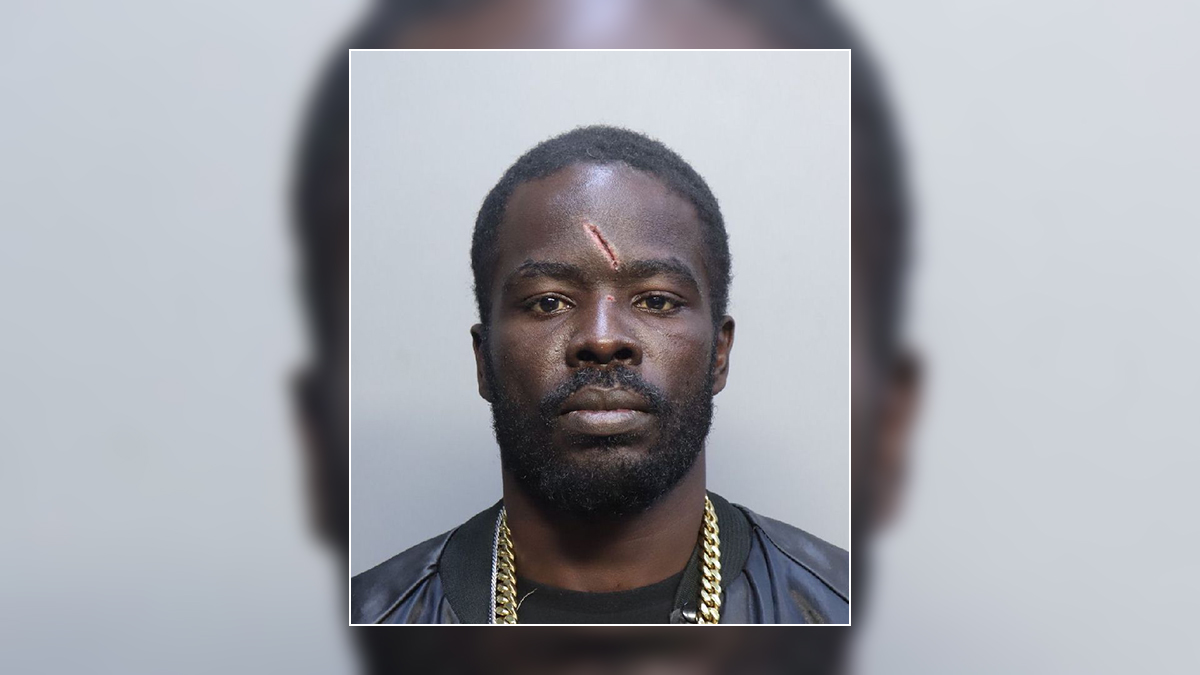 Miami-Dade man arrested, accused of killing puppy: Police – NBC 6 South ...