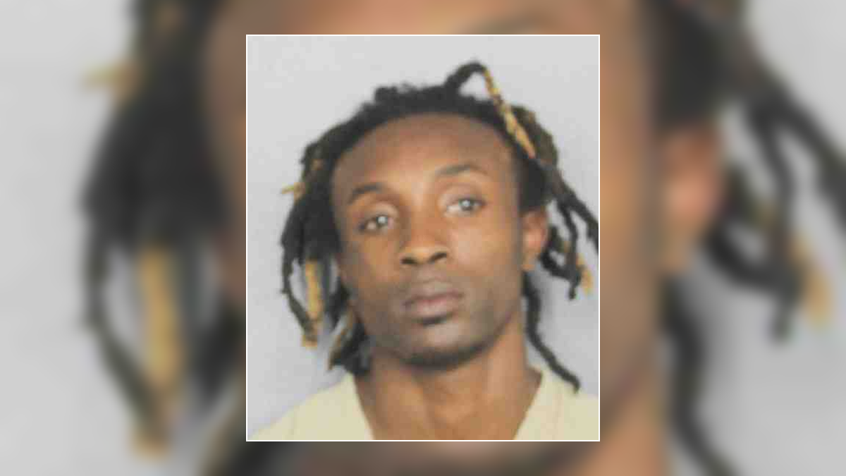 Video shows alleged thief at gas station before leading deputies on I ...