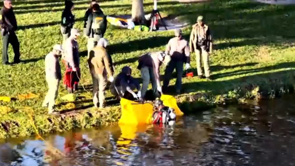 Video appears to show discovery of body in Deerfield Beach – NBC 6 ...