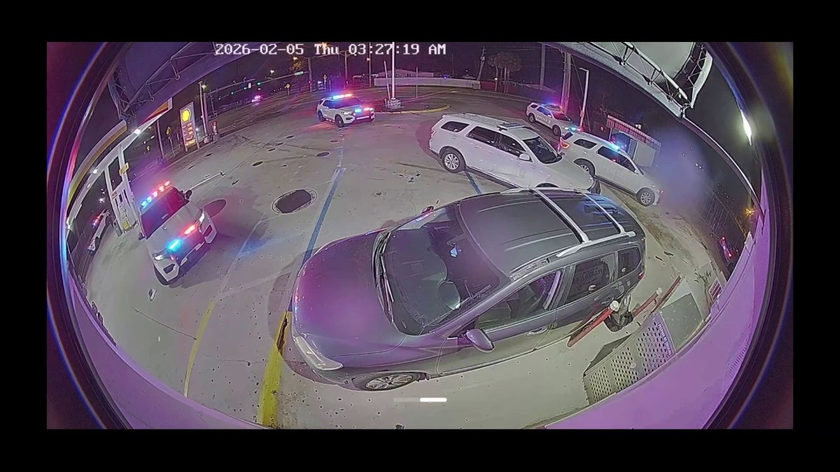 RAW: Armed carjacking suspect crashes stolen Corvette in Miami Gardens ...