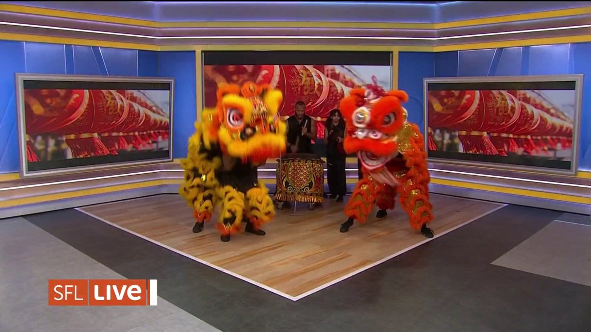 Celebrating the Year of the Horse with John Wai Martial Arts! – NBC 6 ...