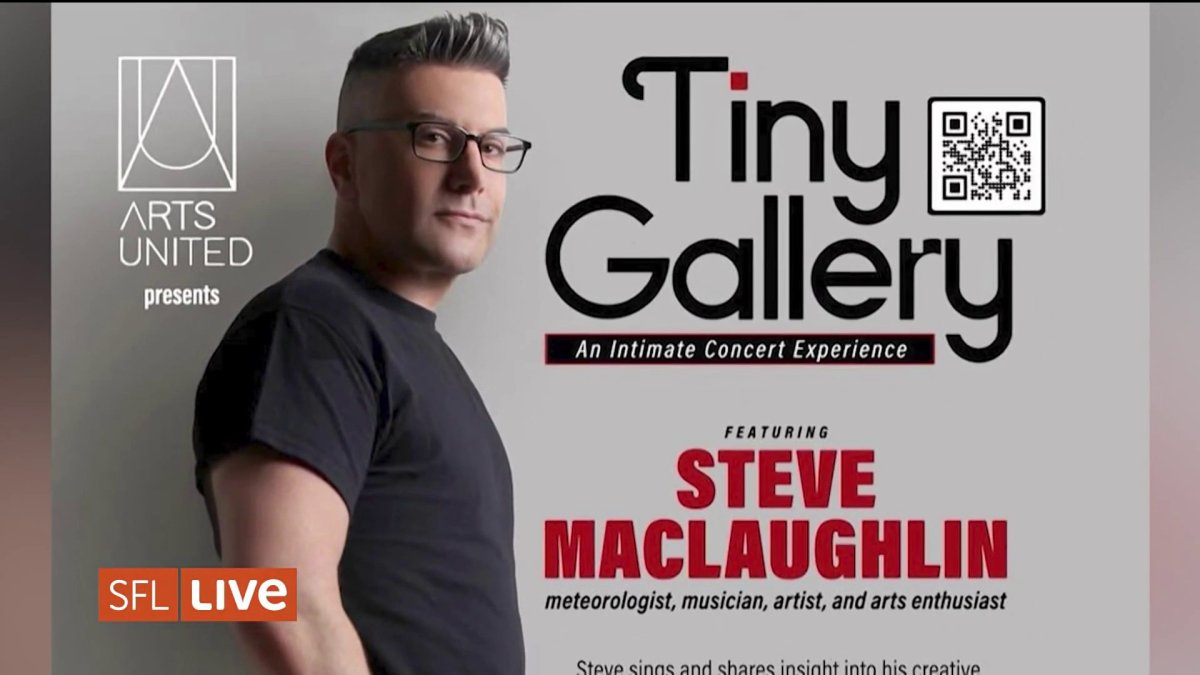 Tiny Gallery with Steve MacLaughliN! – NBC 6 South Florida