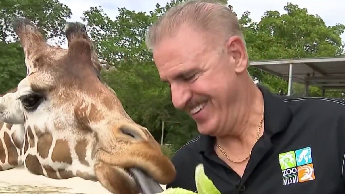 Ron Magill, Zoo Miami spokesman and South Florida icon, is retiring ...