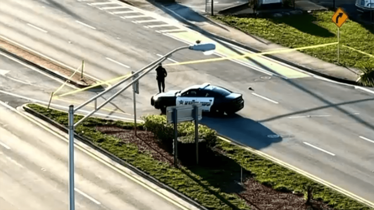 Driver sought after woman killed in hit-and-run in West Park, BSO says ...