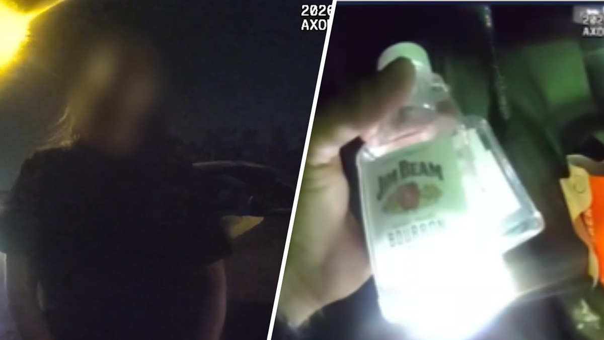 Video shows DUI arrest of Florida mom who deputies say was driving 120 ...