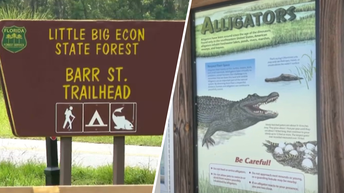 911 call gives new details in fatal Florida alligator attack – NBC 6 ...