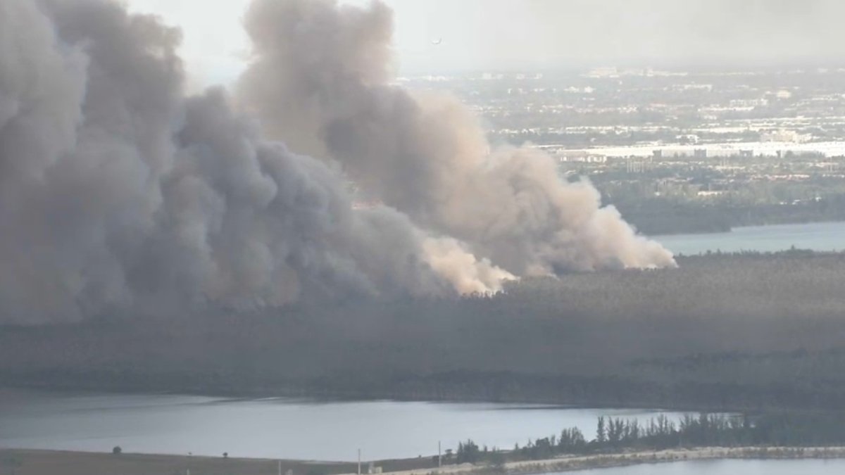 Second brush fire burns in western Miami-Dade County – NBC 6 South Florida