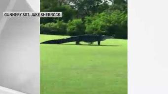 South Florida News | NBC 6 South Florida