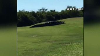 South Florida News | NBC 6 South Florida