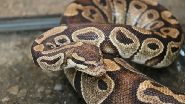 South Florida News | NBC 6 South Florida