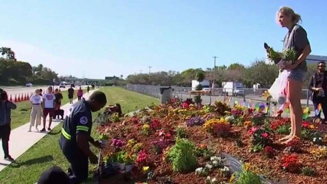 Second Parkland Shooting Survivor Dies by Suicide: Report - NBC 6 South ... Second Parkland Shooting Survivor Dies by Suicide: Report - NBC 6 South ...
